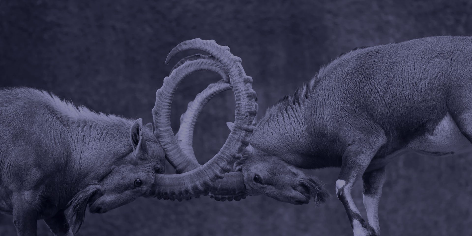 Advocacy Services - The Law Office of Brent Ellison