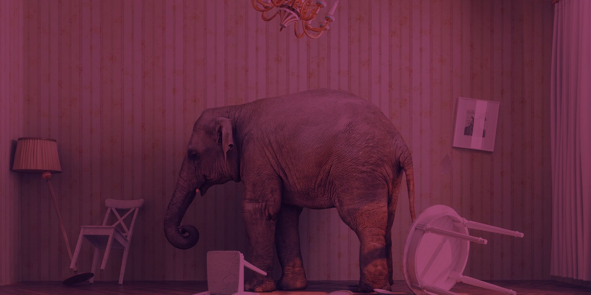 Brent Ellison, Esq. - The Law Office of Brent Ellison